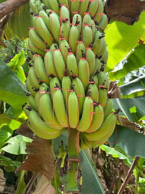 Prakyath Shetty On Linkedin Datascience Agtech Innovation