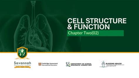 Cell Structure And Function Cambridge Igcse Biology Pdf