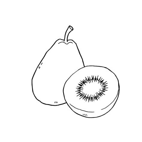 키위 색칠 공부 Kr에서 무료 색칠 공부