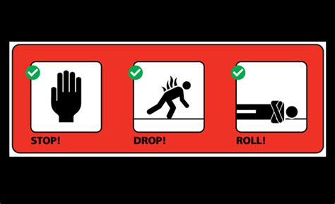 Reductress Tips For Foreplay That Are Actually Stop Drop And Roll