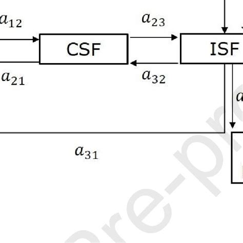 schematic representation of the four compartmental models describing