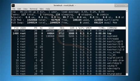 Cheatsheet Of Useful Commands Every Kali Linux User Needs To Know