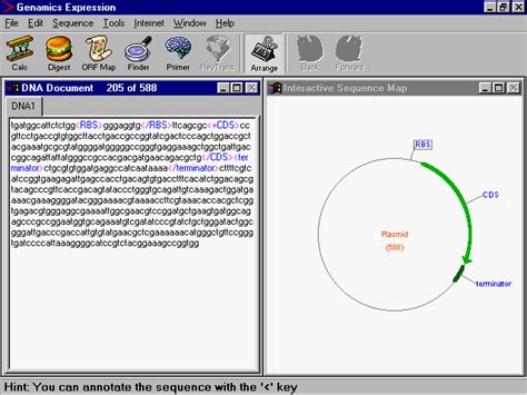 Using The Sequence Map