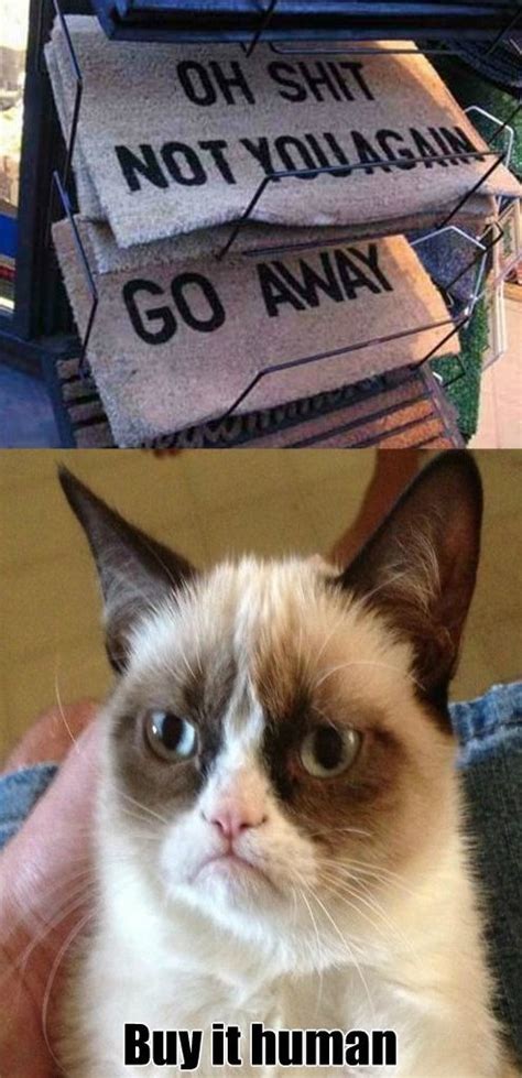 Lol Grumpy Cat Quotes Quotesgram