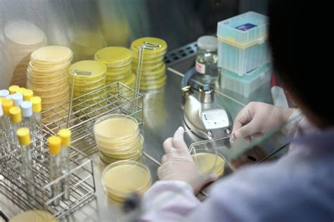 Germany To Lead Aseptic Sampling Market In Europe