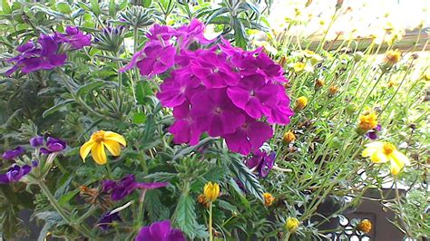 Asus Transformer Pad Tf Cl D A Tablet Review Notebookcheck Net Reviews