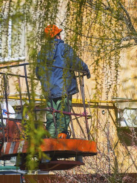 Worker Cuts The Branches Of The Tree Close Up Editorial Stock Image