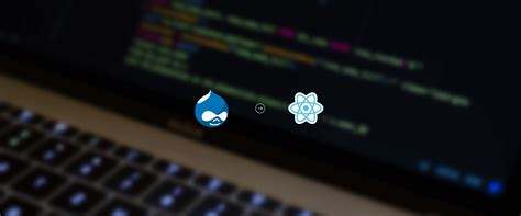 Using React Library On Drupal Theres More Appnovation