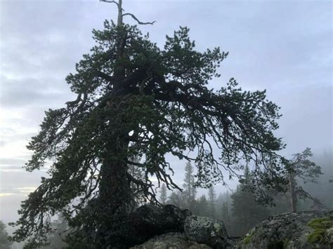 Greg Cocks On Linkedin Gis Spatial Mapping Model Modeling