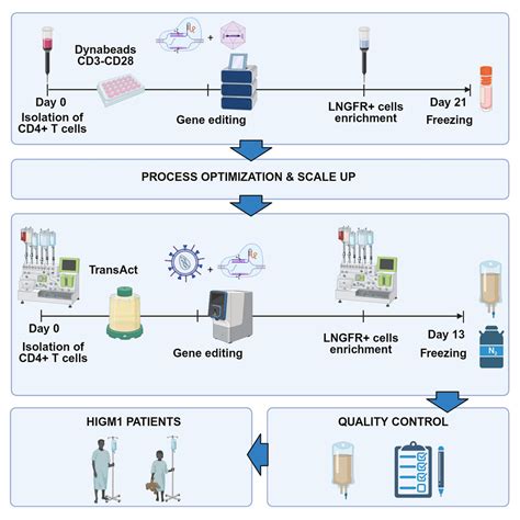 Scalable Gmp Compliant Gene Correction Of Cd4 T Cells With Idlv