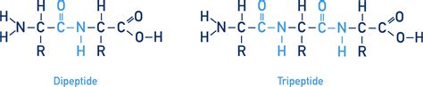 344 Amino Acids Cie A Level Chemistry