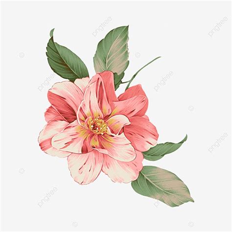 싱 그 러 운 수채화 만화 일러스트 투명 소재 라이트 핑크 잔꽃 신선한 꽃 Png 일러스트 및 Psd 이미지 무료 다운로드 Pngtree