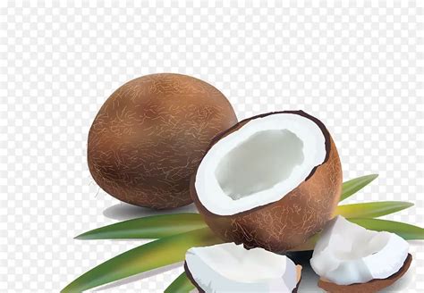 Png Ygekndoa