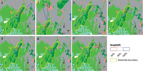 Representation Of Adaptative Local Nearest Neighbor Convex Hull Download Scientific Diagram