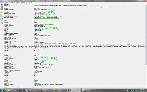Video And Audio Bit Rate Is Missing From Mediainfo Mkv Encoded X265 · Issue 1609 · Handbrake
