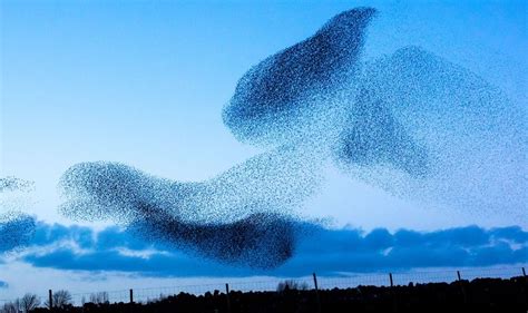 A Comprehensive Guide To Graph Algorithms In Neo4j Mark Needham And Amy