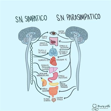 Pin Su Infografiche