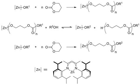 Polymers Free Full Text Ring Opening Polymerization—an Introductory Review