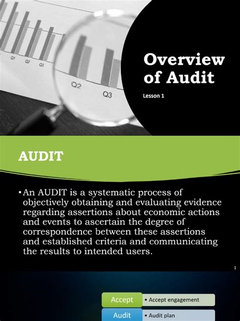 Overview Of Audit Pdf