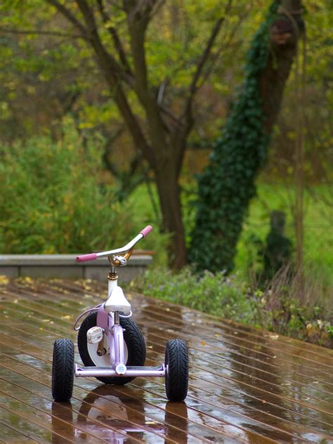 Pentacon 200mm F4 Flickr