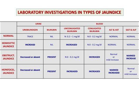 Ppt Bilirubin Metabolism And Jaundice Powerpoint Presentation Free