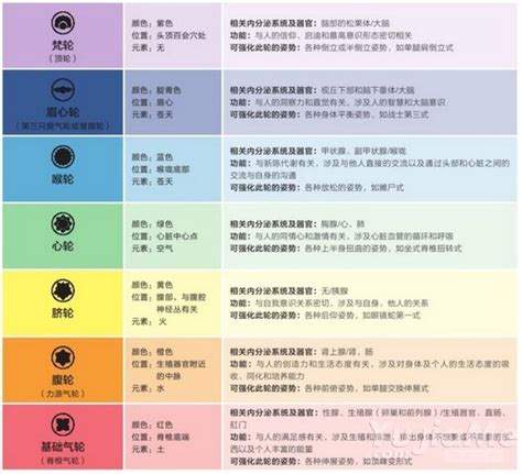 瑜伽三脈七輪內容講解 每日頭條