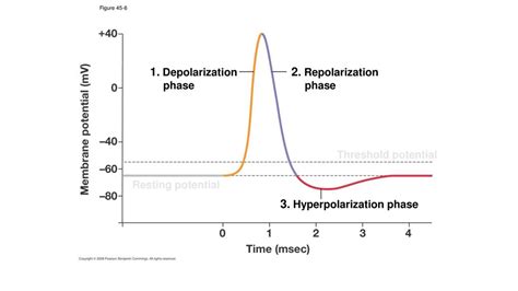 Examples Ppt Download