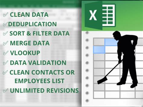do excel data cleaning data formatting and data entry for your niche by umr bsp fiverr
