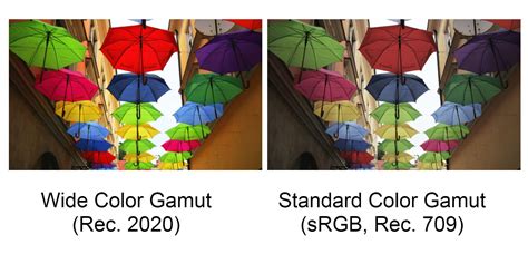 How To Choose An HDR Screen Specs You Must Look For