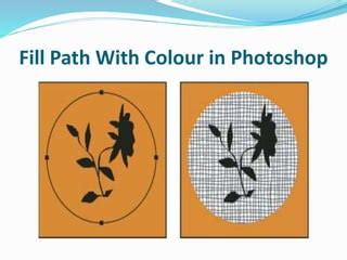 Fill Path With Colour In Photoshop PPTX
