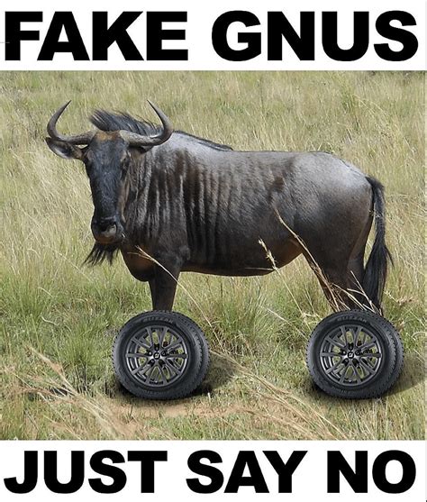 Not A Real Gnu R Surrealmemes