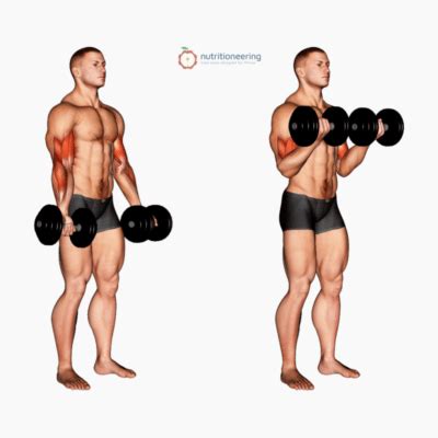 Complete Dumbbell Back And Bicep Workout
