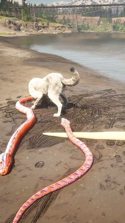 X454 Simulate Stunning Survival Skills Shorts Youtube