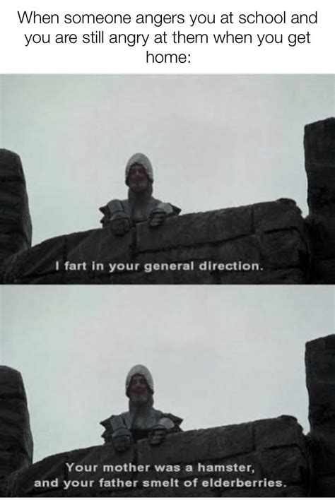 Monty Python Meme Rmemes