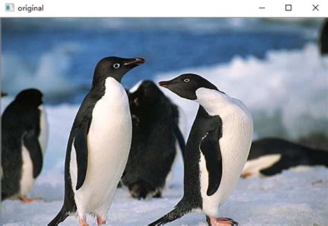 使用python和opencv将图片转化为素描图 Python代码解析cv2 图像转素描 Csdn博客