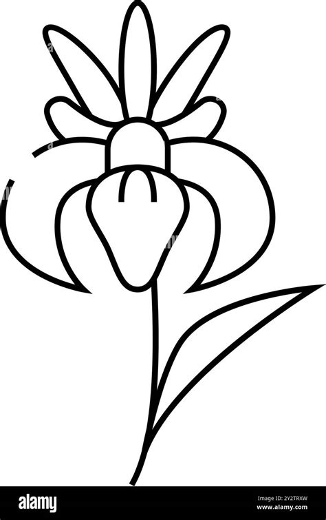 Iris Flower Line Icon Vector Illustration Stock Vector Image And Art Alamy