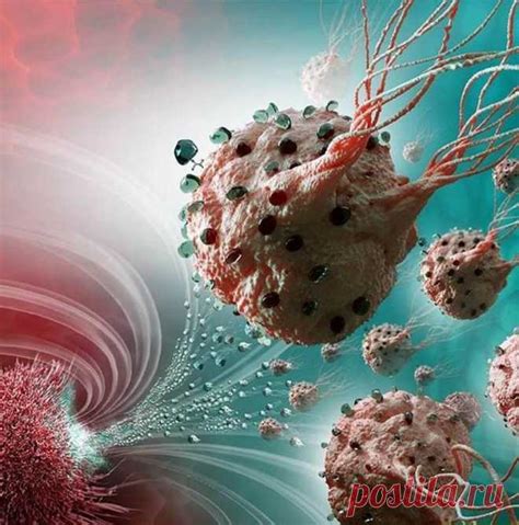 Как принимать Коэнзим Q10 Фабрика идей Постила