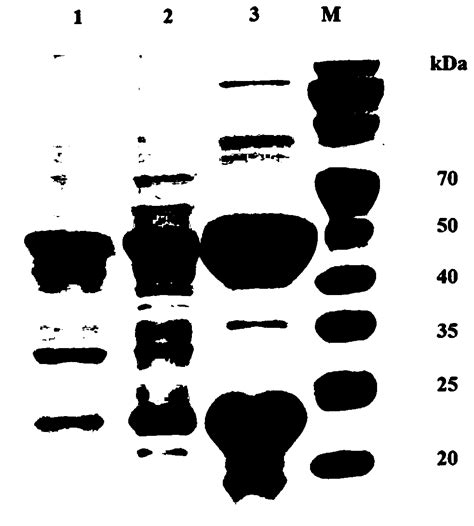 Method For Preparing 4 Ethylphenol From Glycerol Eureka Patsnap
