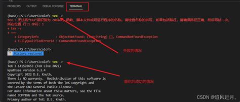 科研学术的写作环境搭配（latex vscode sumatra pdf skim）win mac通用 latex 必须用sumatrapdf