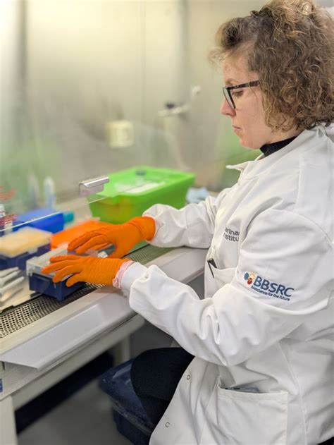 Singlecell Rnaseq Bioinformatics 10xgenomics Earlham Institute