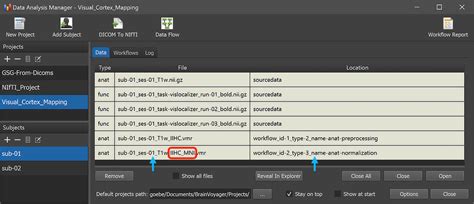 Anatomical Normalization Workflow