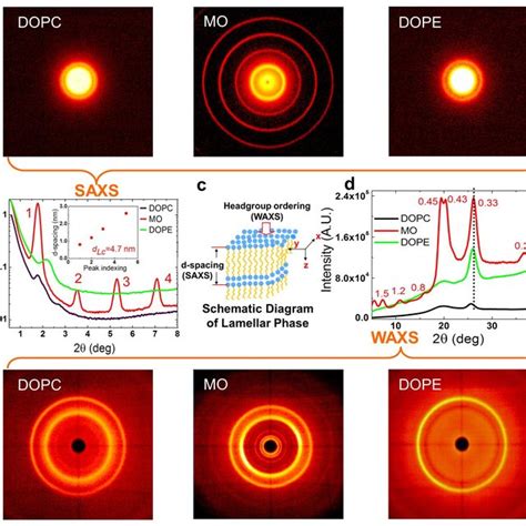 sem on cnt arrays before and after lipid loading a native cnt arrays