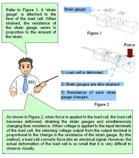 5 How Does A Load Cell Conduct Measurements Introduction To Load Cells A D
