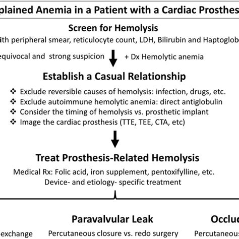 An Algorithmic Approach To A Patient With Suspected Cardiac Download Scientific Diagram