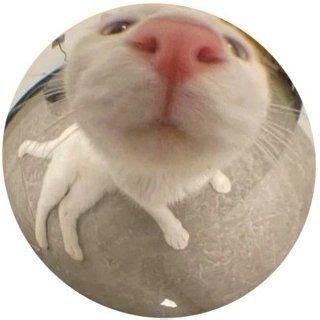 Bianca Casaa Biancaa Threads Say More