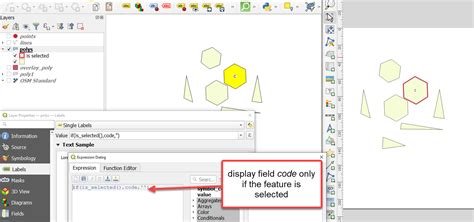 Labeling Qgis Print Layout Expression For Selected Features In
