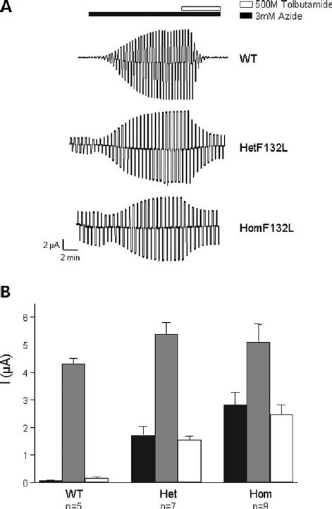 Comparison Of Wild Type And Mutant Whole Cell K Atp Currents