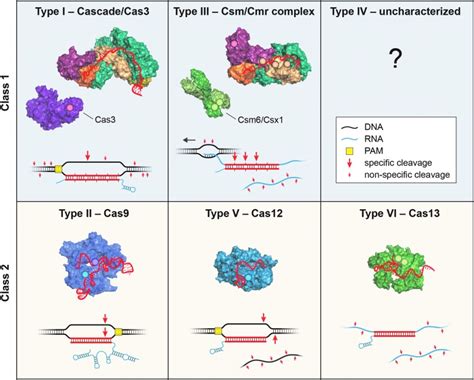 Harnessing “a Billion Years Of Experimentation” The Ongoing Exploration And Exploitation Of