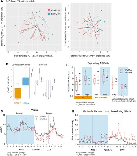 Behavior Of Wild Type Lpar2 Wt And Lpar2−− Mice In The Intellicage Download Scientific
