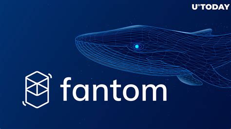 Fantom Ftm Up 11 Amid Whale Dump Heres Reason